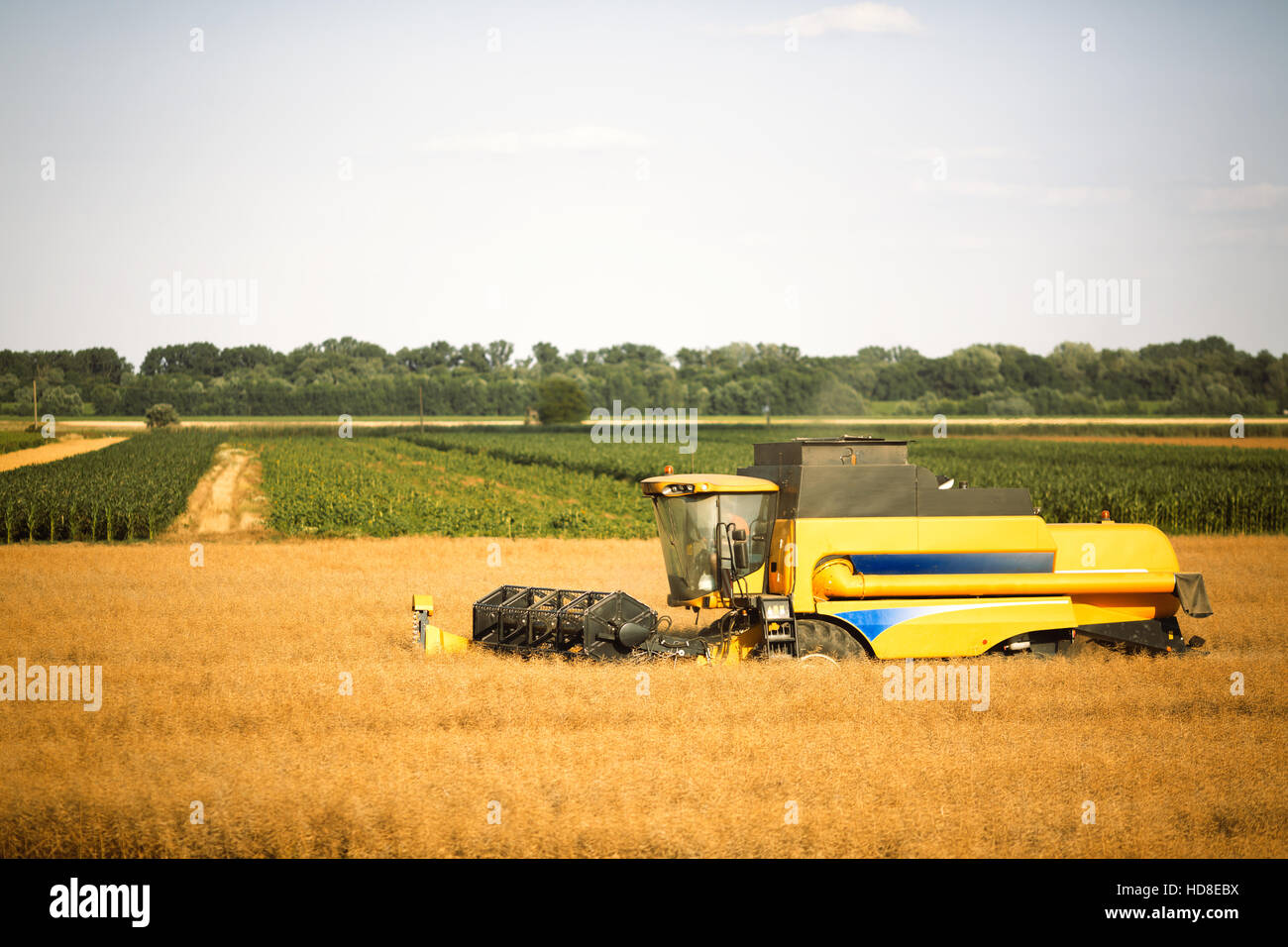 Agriculture machine harvesting crop in fields Stock Photo - Alamy