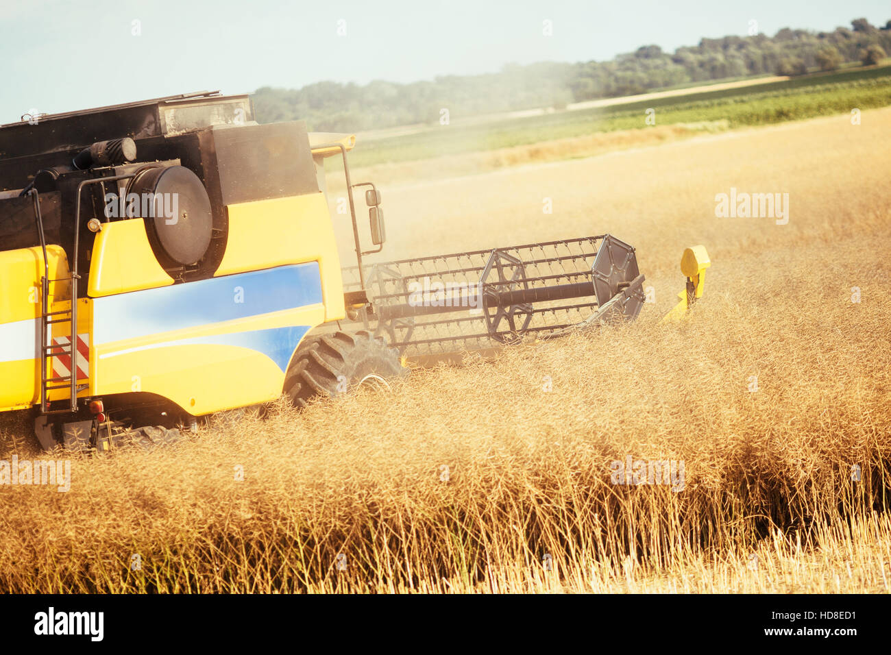 Agriculture machine harvesting crop in fields Stock Photo - Alamy