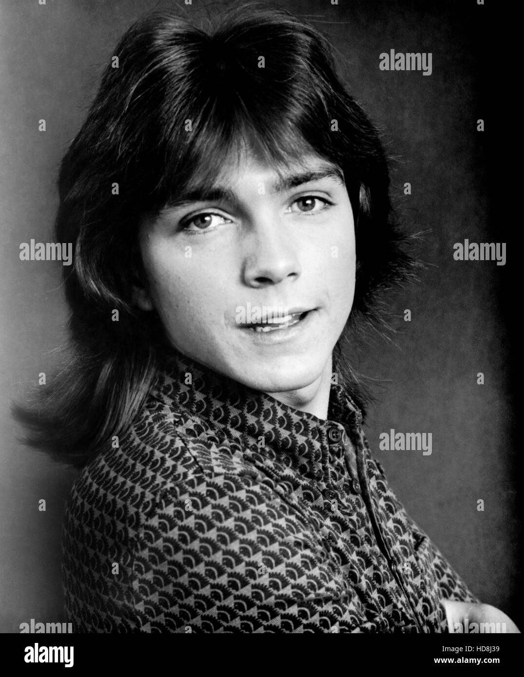 THE PARTRIDGE FAMILY, David Cassidy, 1970-1974 Stock Photo - Alamy
