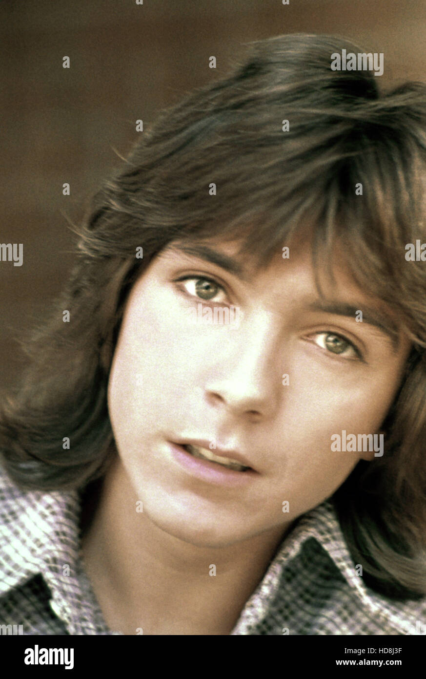 THE PARTRIDGE FAMILY, David Cassidy, 1970-1974 Stock Photo - Alamy