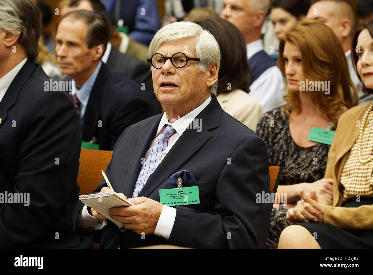 THE PEOPLE V. O.J. SIMPSON: AMERICAN CRIME STORY (aka THE PEOPLE VS. O ...