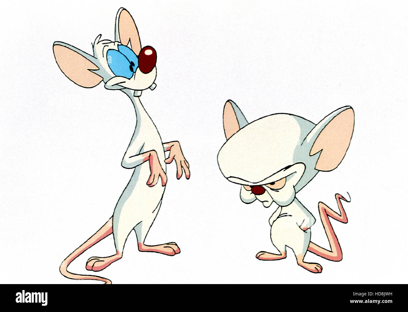 PINKY AND THE BRAIN, Pinky, The Brain, 1995-98 Stock Photo - Alamy