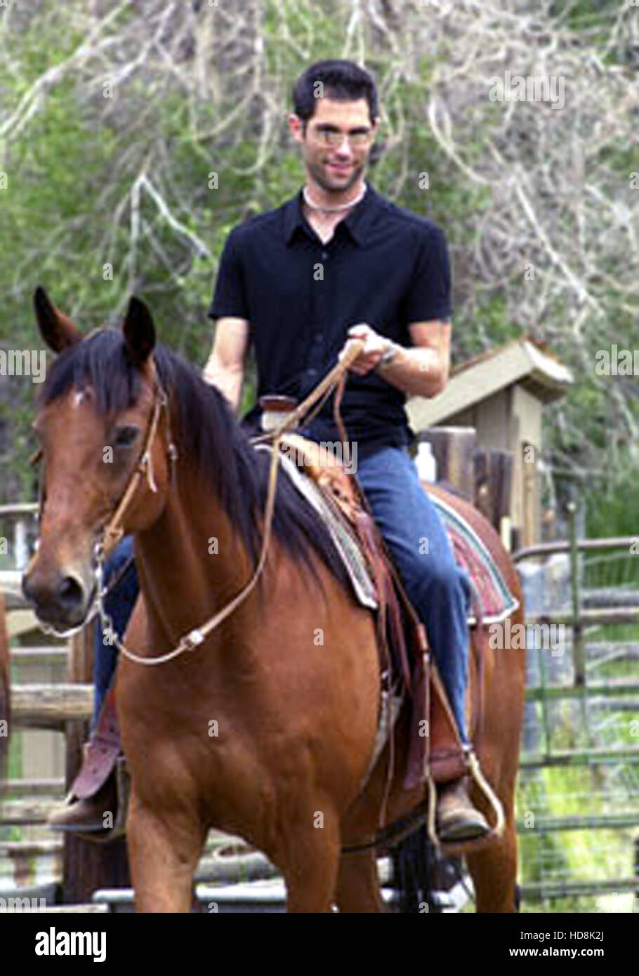 PLAYING IT STRAIGHT, Gus, at the Sizzling Saddles Ranch, Elko, NV, 3/12 ...