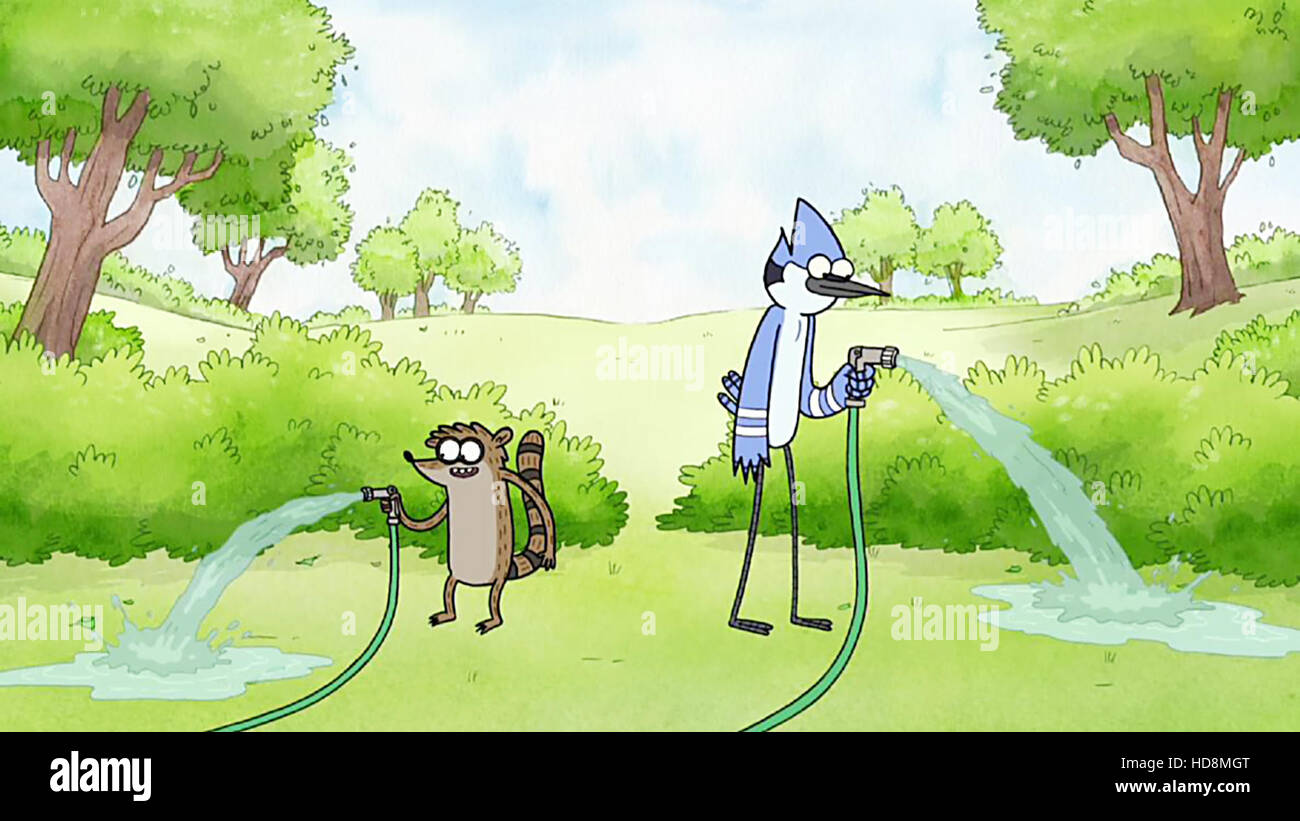 Cartoon Network Regular Show Rigby