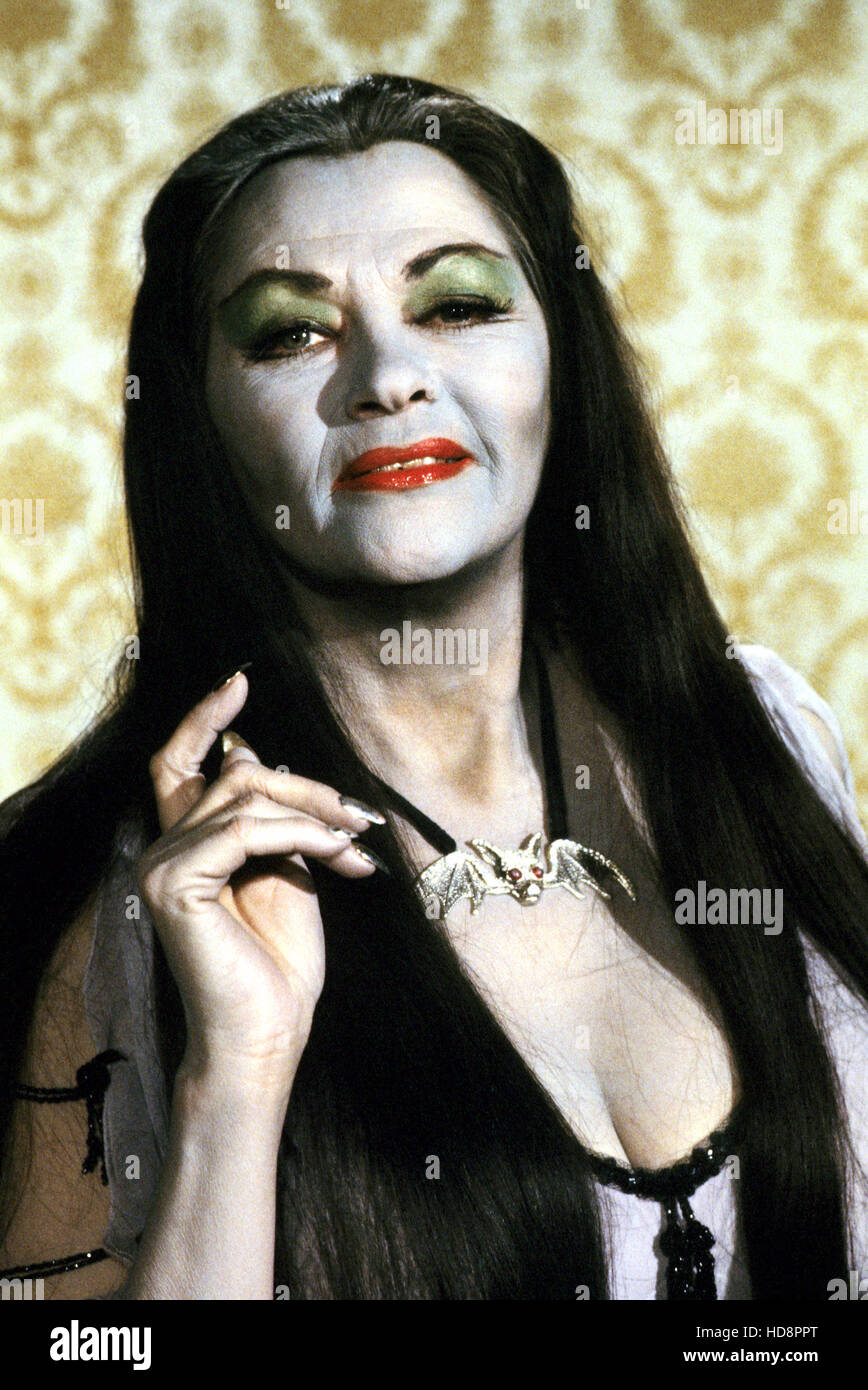 Yvonne De Carlo's Instagram, Twitter & Facebook on IDCrawl