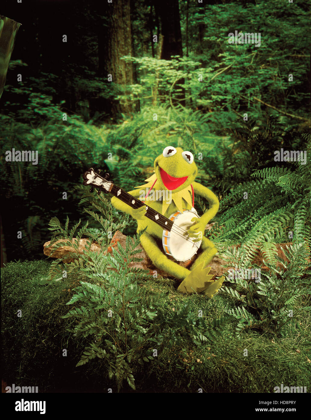 THE MUPPET SHOW, Kermit the Frog, 1976-1981. (c) Henson Associates ...