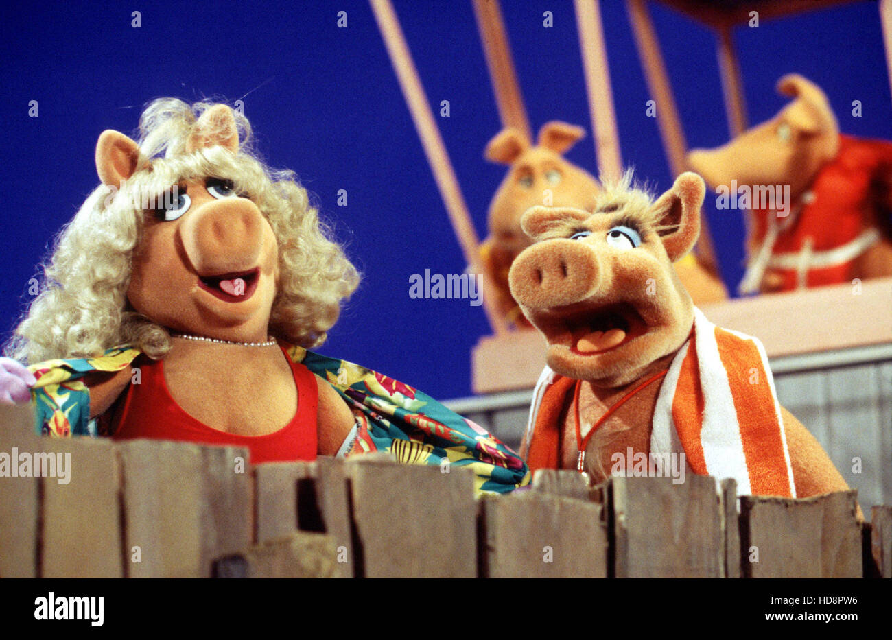 MUPPETS TONIGHT, Miss Piggy, David Hogsellhoff, Andy/Randy Pig in rear ...