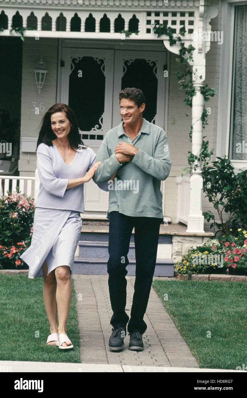 ONE TRUE LOVE, (l to r): Terry Farrell, David Hasselhoff, 2000 Stock ...