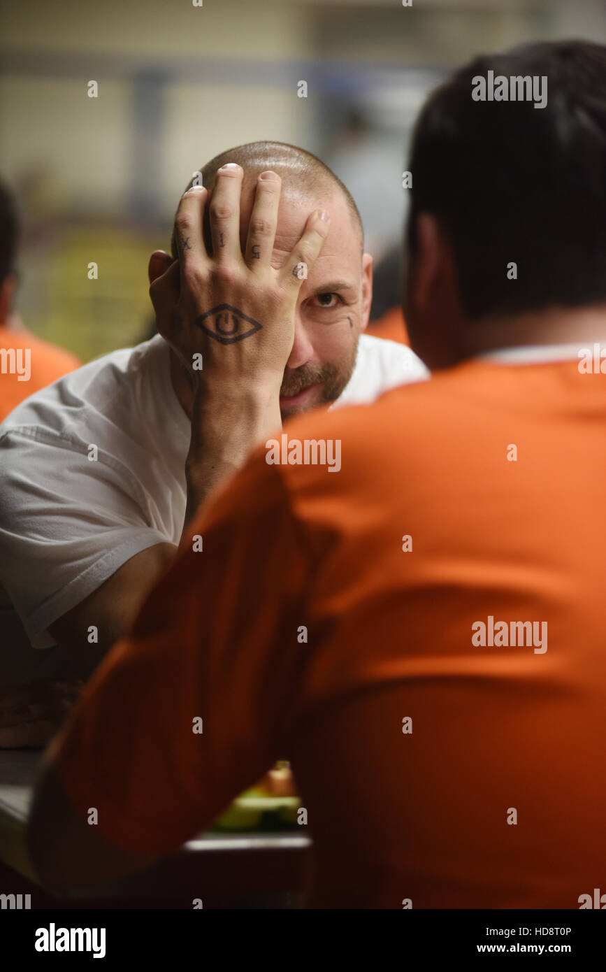 ORPHAN BLACK, (from left): Noah Danby, Kristian Bruun (back to camera ...