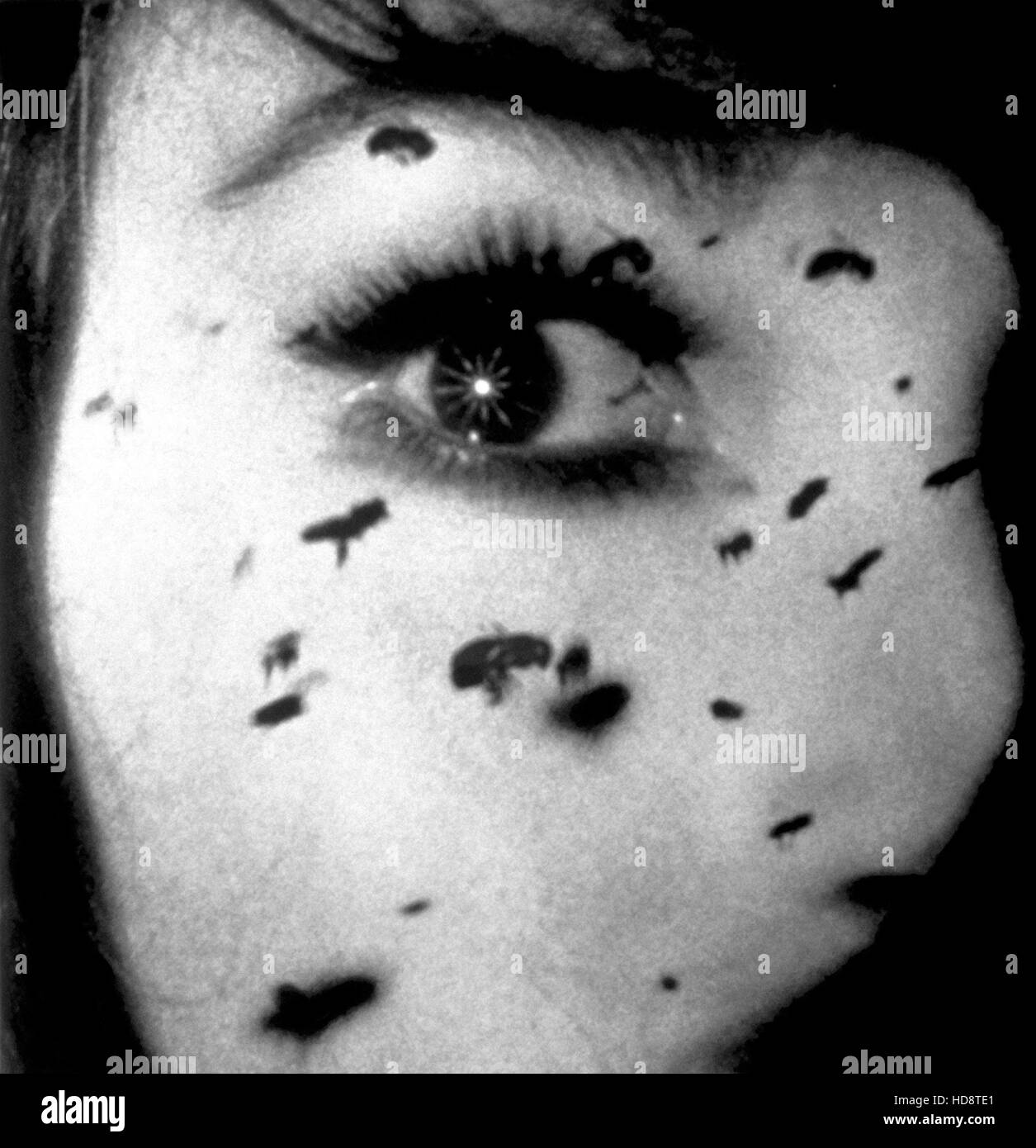 THE OUTER LIMITS, Joanna Frank, Season 1, Ep. 'ZZZZZ', 1963-1965 Stock ...