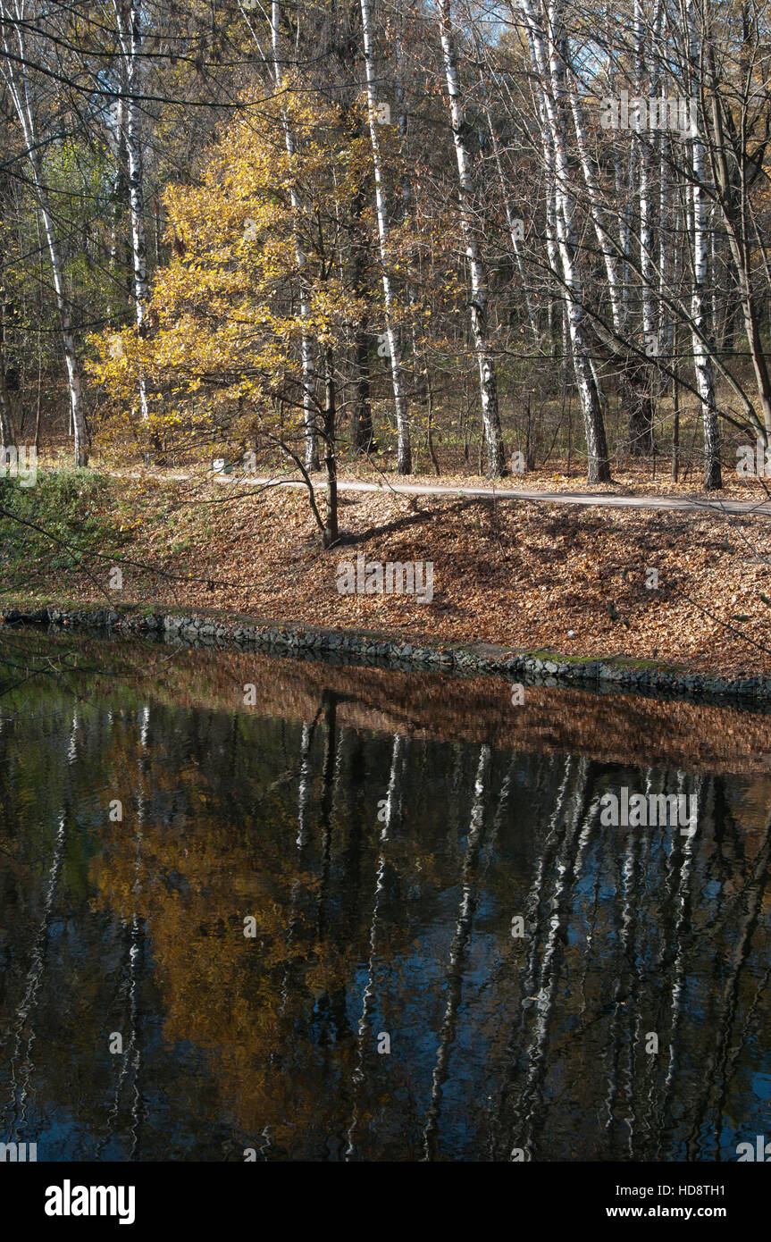 Autumn landscape with a pond in Sokolniki park, Russia, Moscow Stock ...