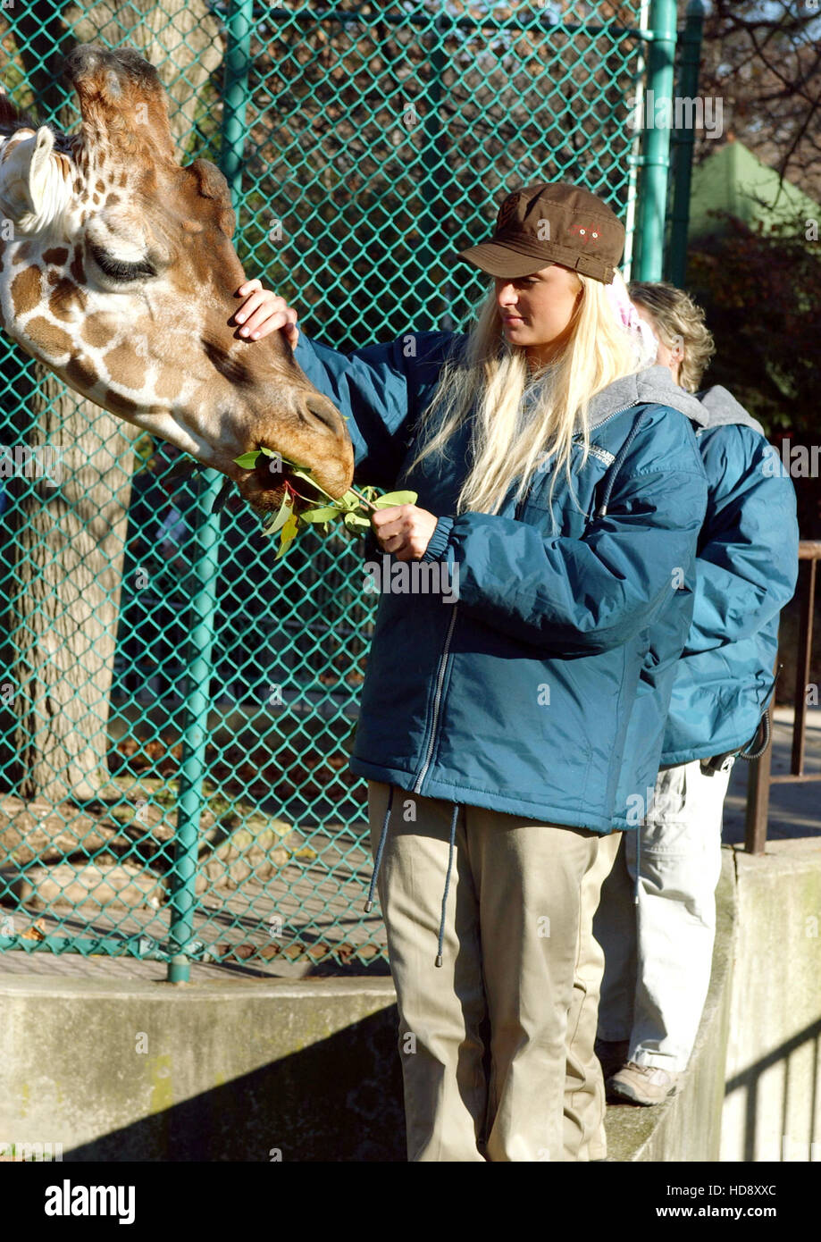 SIMPLE LIFE 3: INTERNS, Paris Hilton, 'Zoo', (Season 3), 2003-07. photo ...