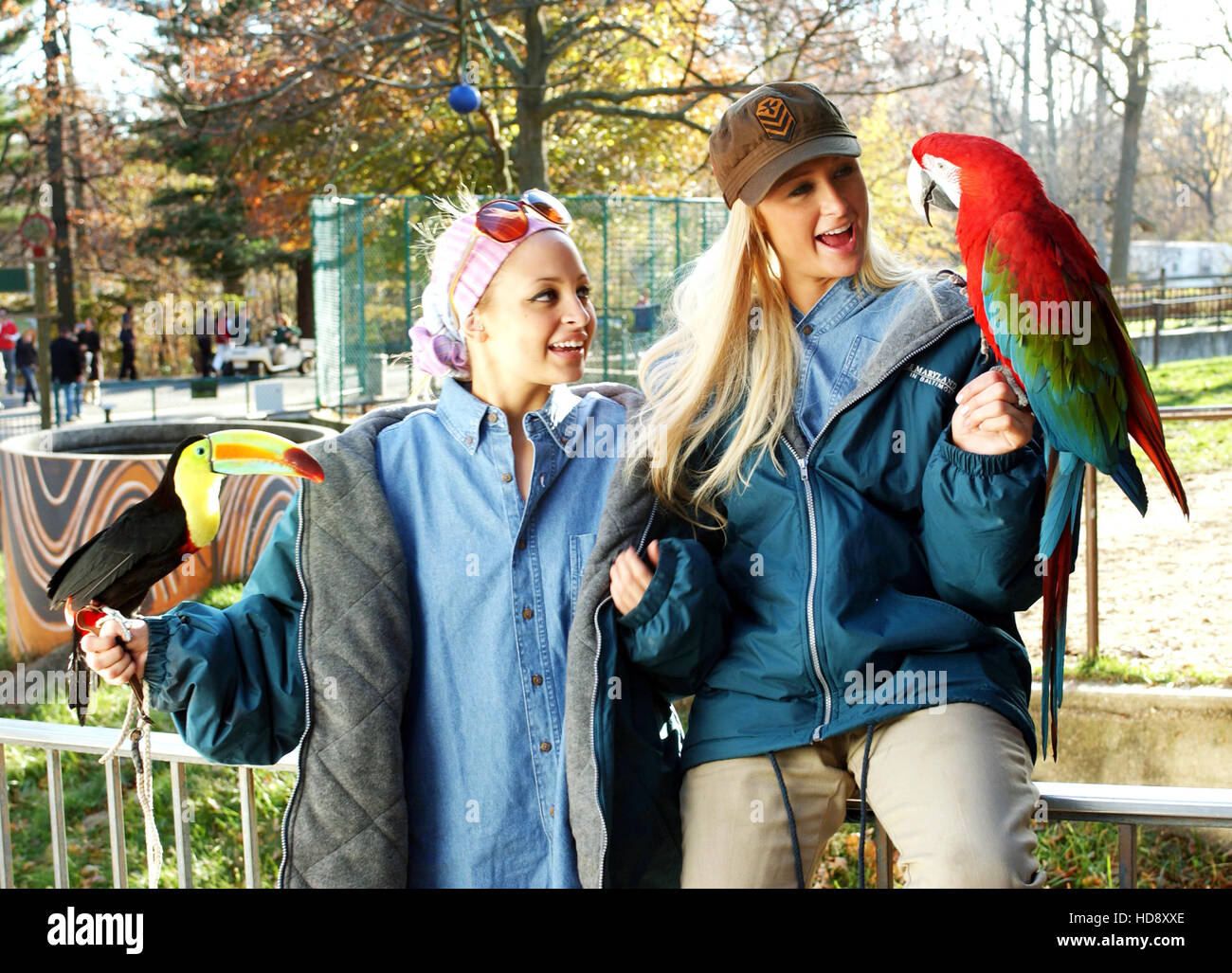 SIMPLE LIFE 3: INTERNS, Nicole Richie, Paris Hilton, 'Zoo', (Season 3 ...