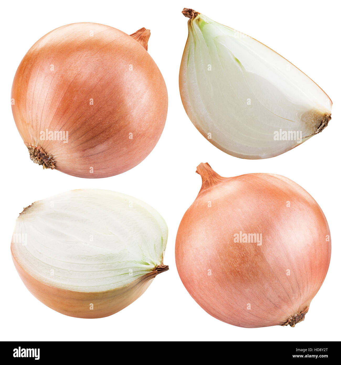 Bulb onion isolated on a white background Stock Photo - Alamy