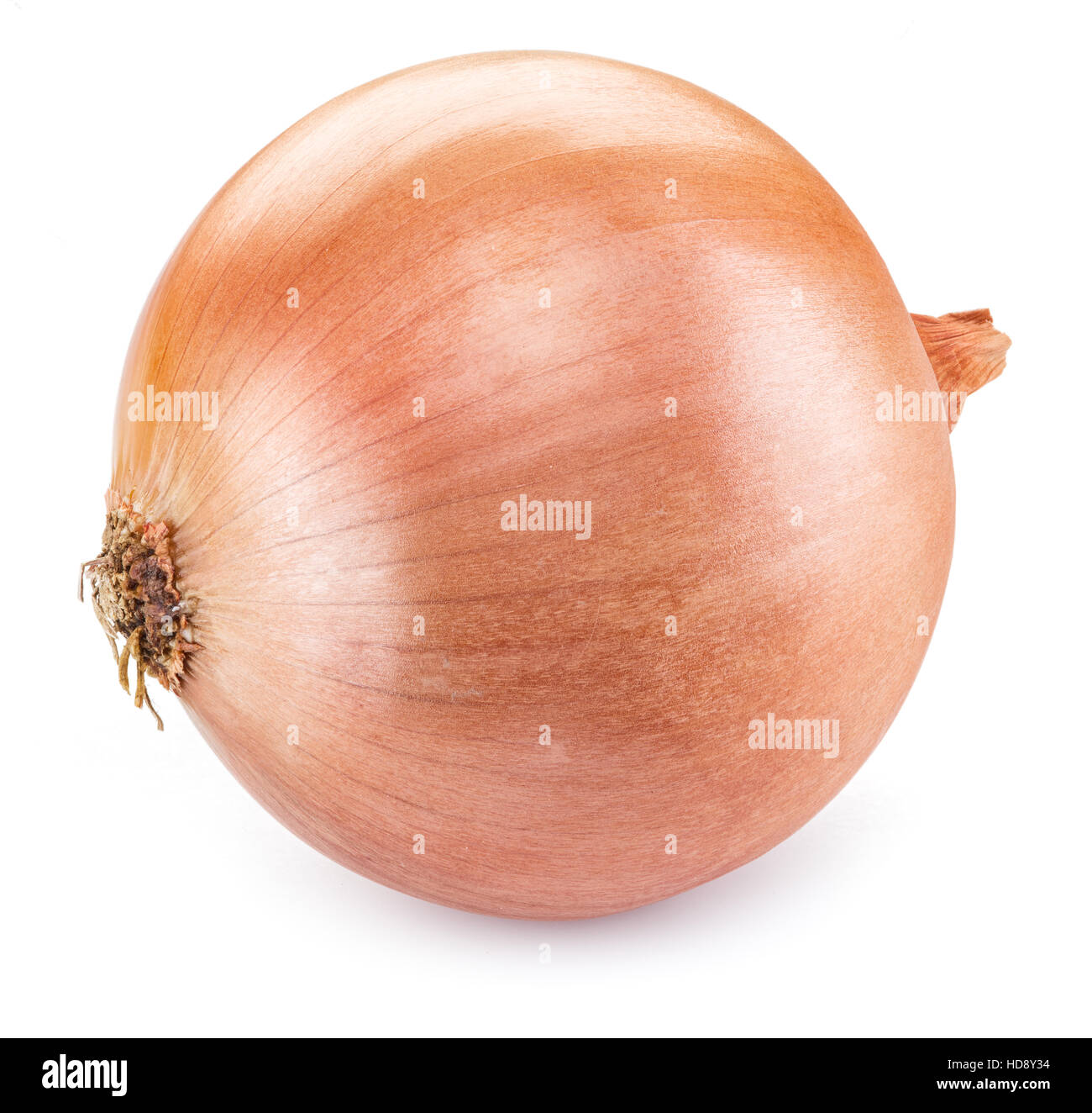 Bulb onion isolated on a white background Stock Photo - Alamy