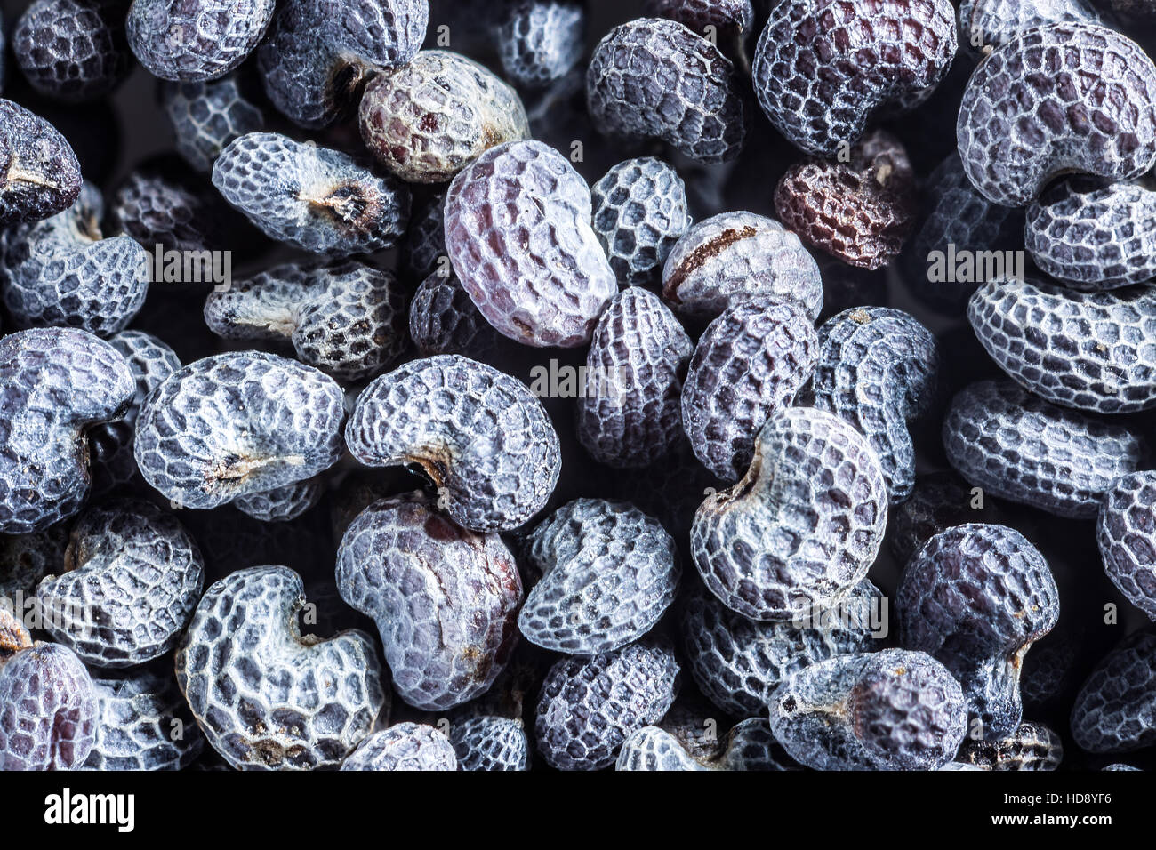 Macro shot of poppy seed Stock Photo - Alamy