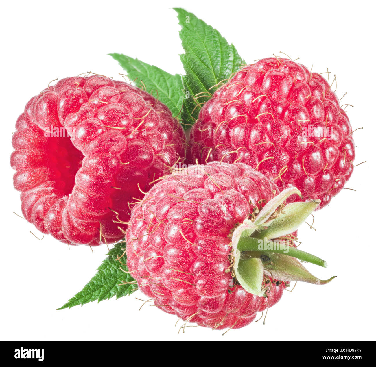 Three raspberries with leaves on the white background Stock Photo - Alamy