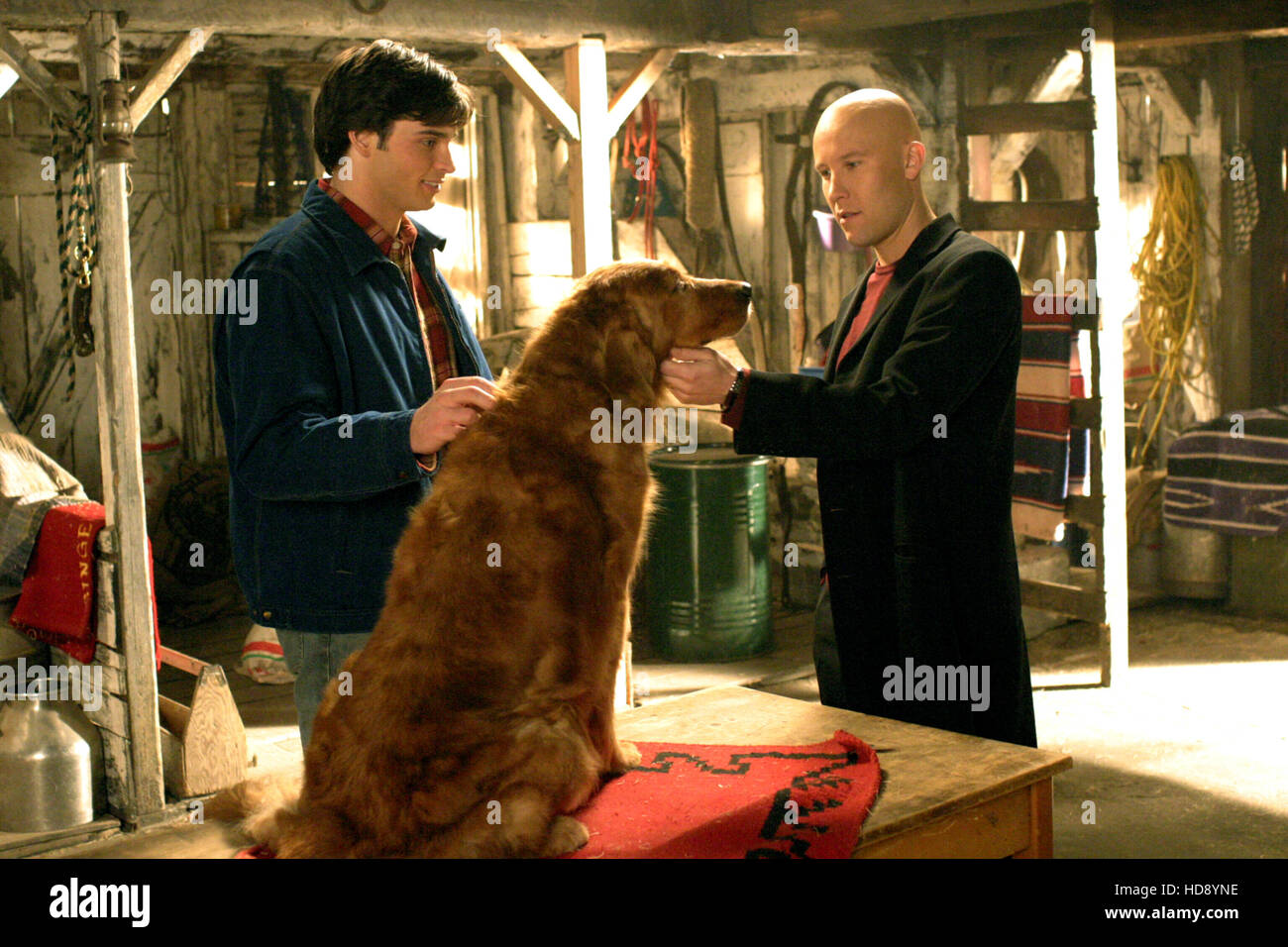 SMALLVILLE, Tom Welling, Krypto the Dog, Michael Rosenbaum, 'Krypto ...