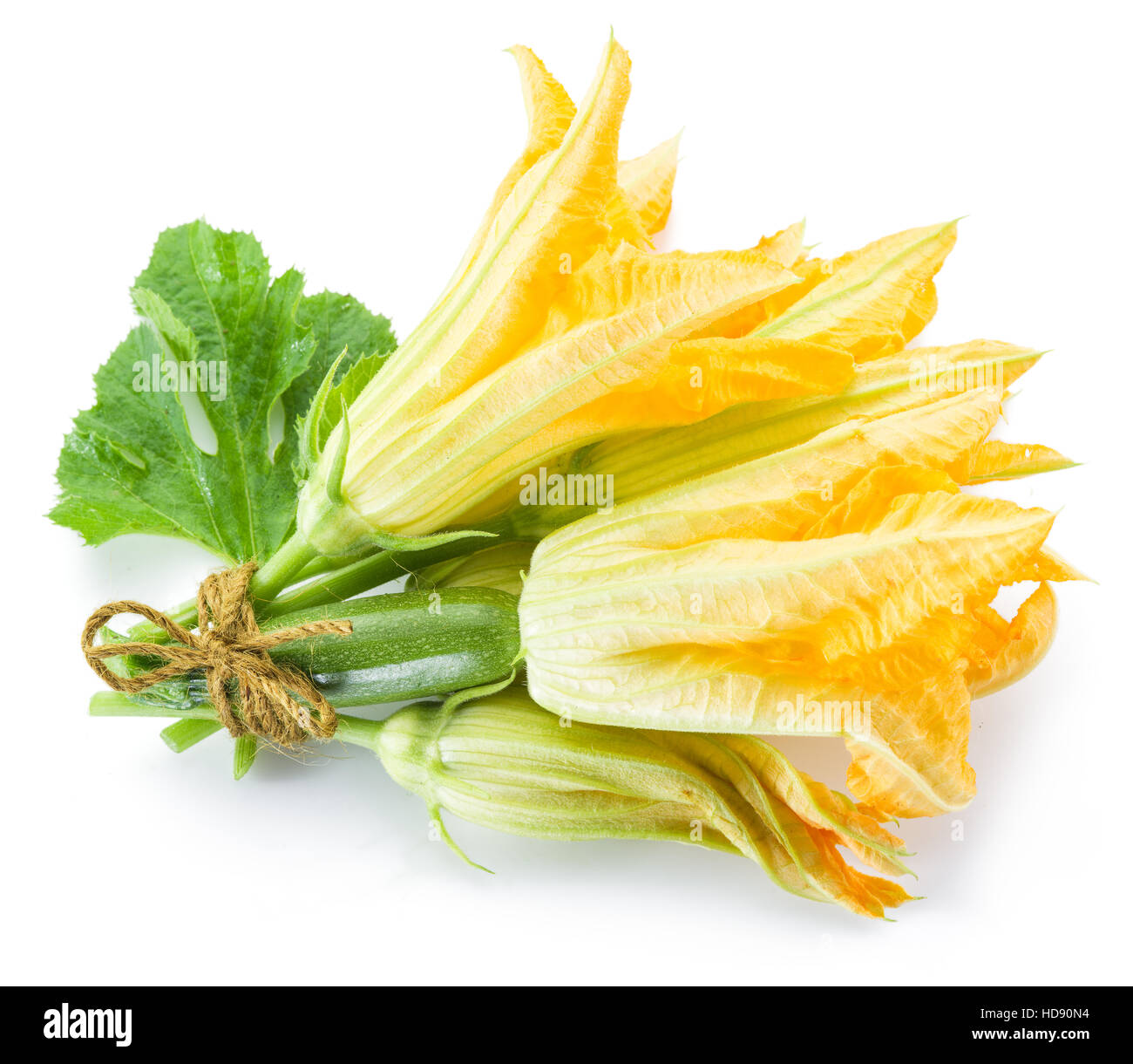 Zucchini flowers on a white background Stock Photo - Alamy