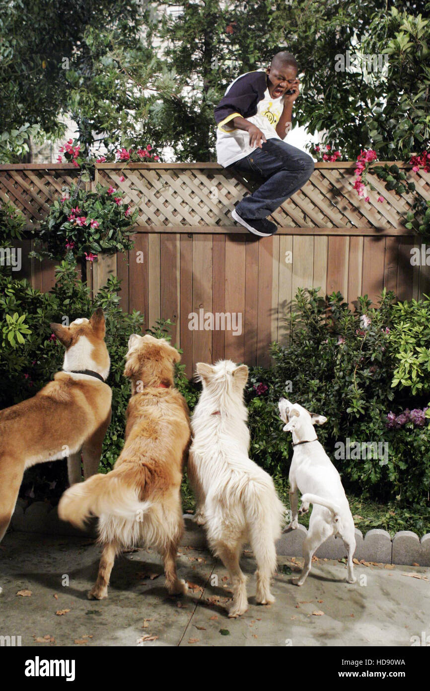 THAT'S SO RAVEN, Kyle Massey, 'Driving Miss Lazy', (Season 4, aired ...