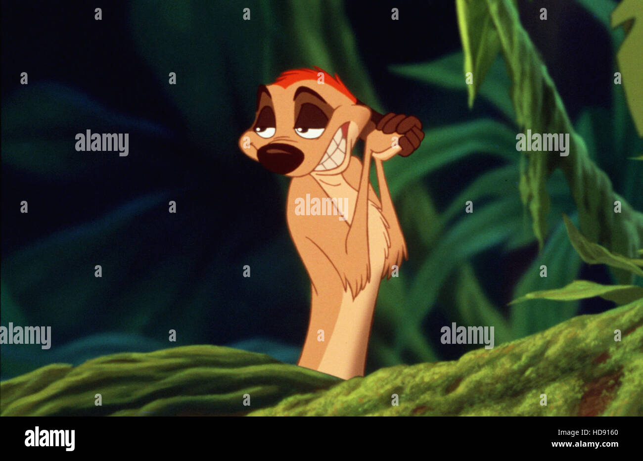 TIMON AND PUMBAA, Timon, 1995-98. © Walt Disney Television / Courtesy ...