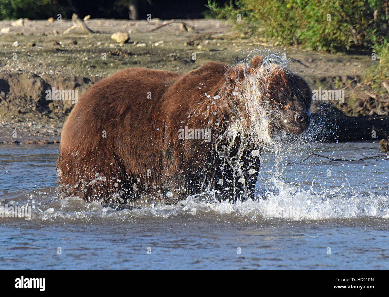 kamchatka peninsula russia Stock Photo - Alamy