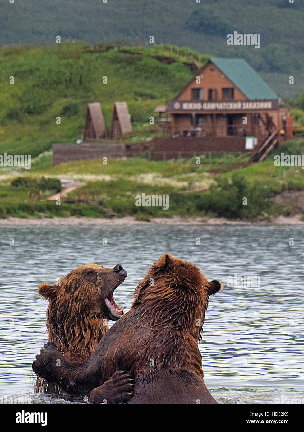 kamchatka peninsula russia Stock Photo - Alamy