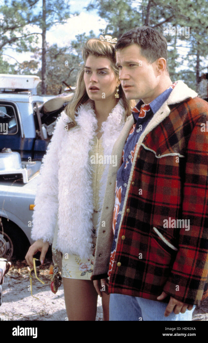 THE ALMOST PERFECT BANK ROBBERY, Brooke Shields, Dylan Walsh, 1998 ...