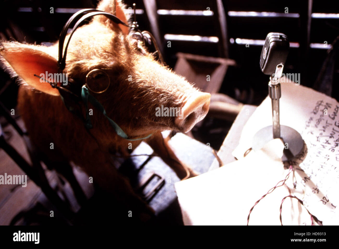 ANIMAL FARM, Squealer, 1999, © TNT / Courtesy: Everett Collection Stock ...