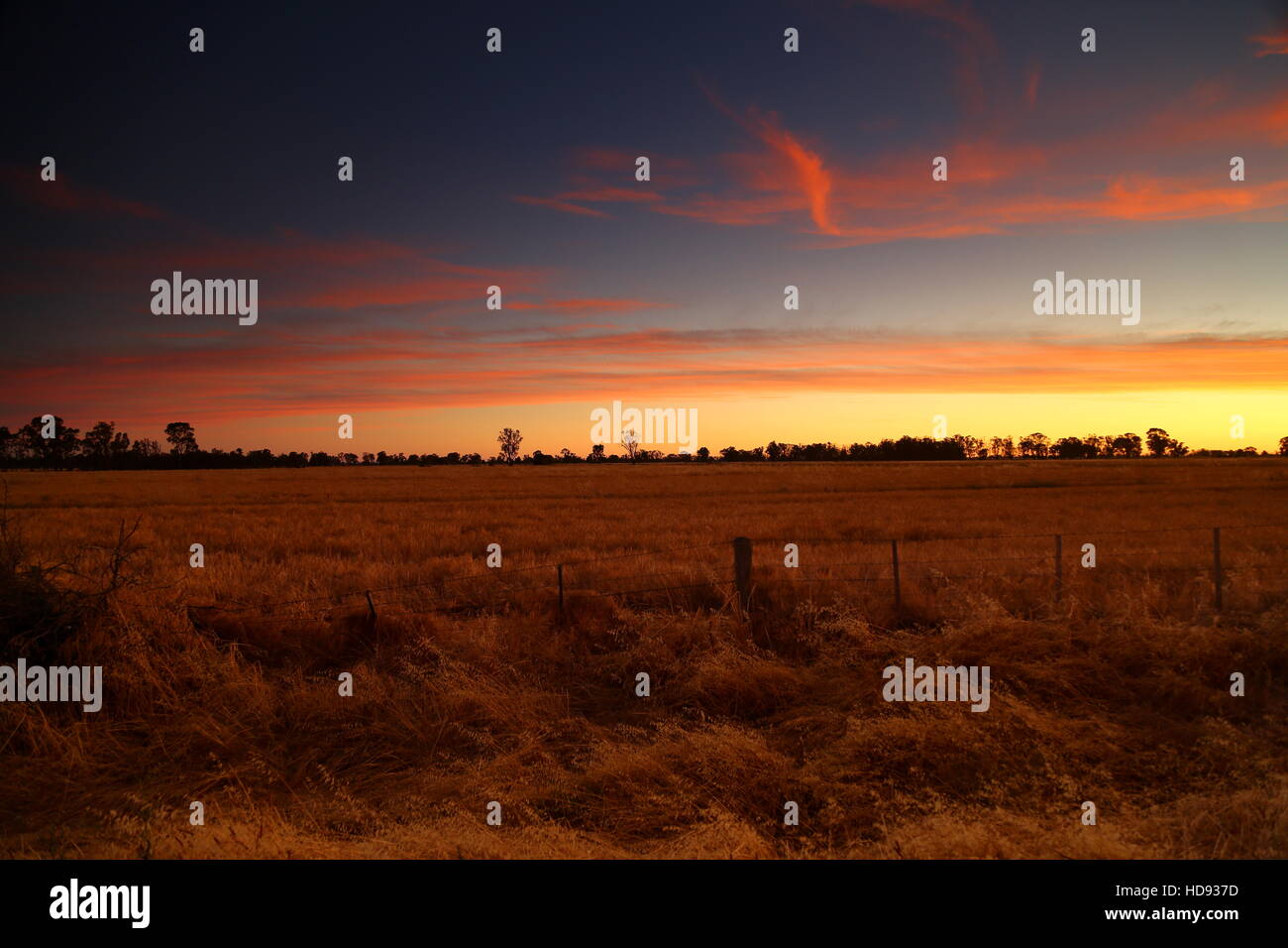 Australian farm hi-res stock photography and images - Alamy
