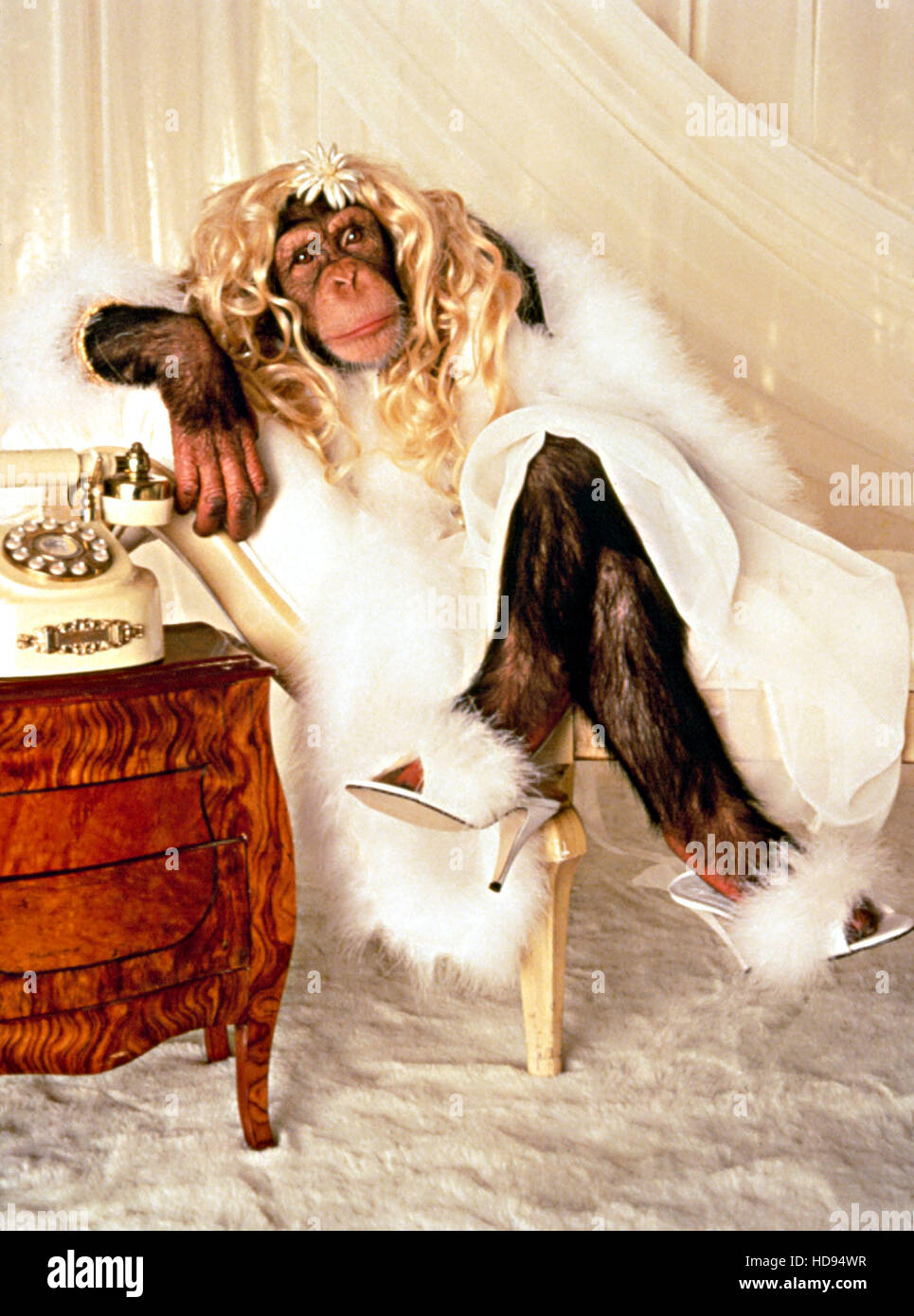 THE CHIMP CHANNEL, with Marina, the blonde diva of TCC, 1999 Stock ...