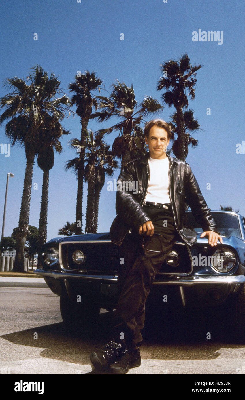 CHARLIE GRACE, Mark Harmon, 1995-96. © Warner Bros. Television ...