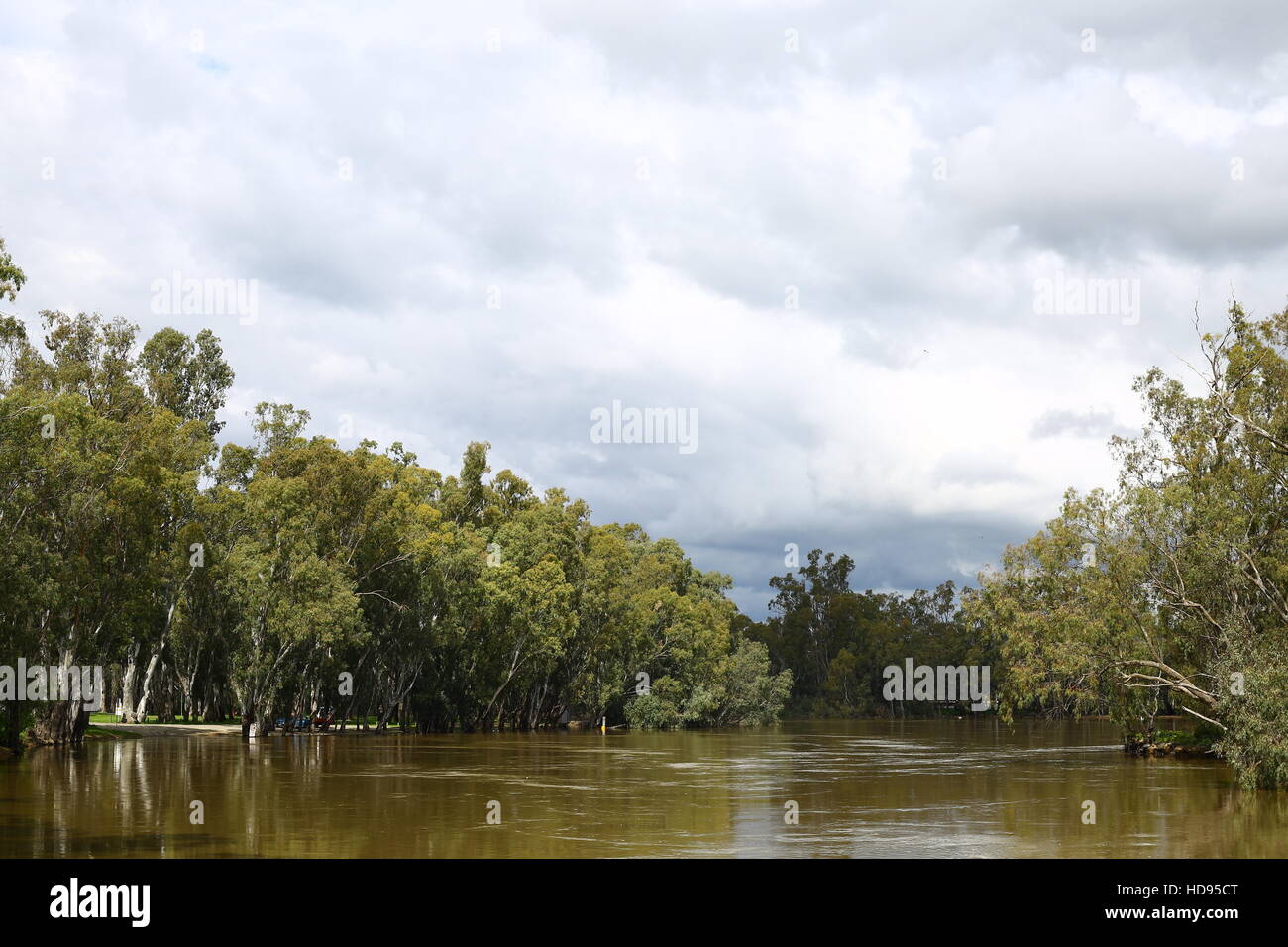 Murray River in Flood Barham New South Whales Australia Stock Photo - Alamy