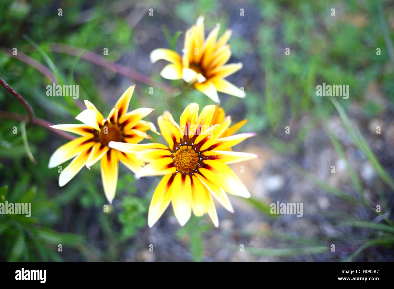 Land australia hi-res stock photography and images - Alamy