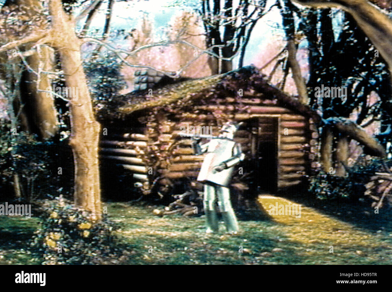 DREAMER OF OZ, Tinman, 1990, © NBC / Courtesy: Everett Collection Stock ...