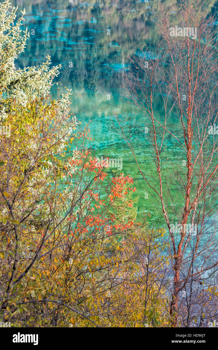 Colorful Lake, Jiuzhaigou National Park, Sichuan Province, China ...