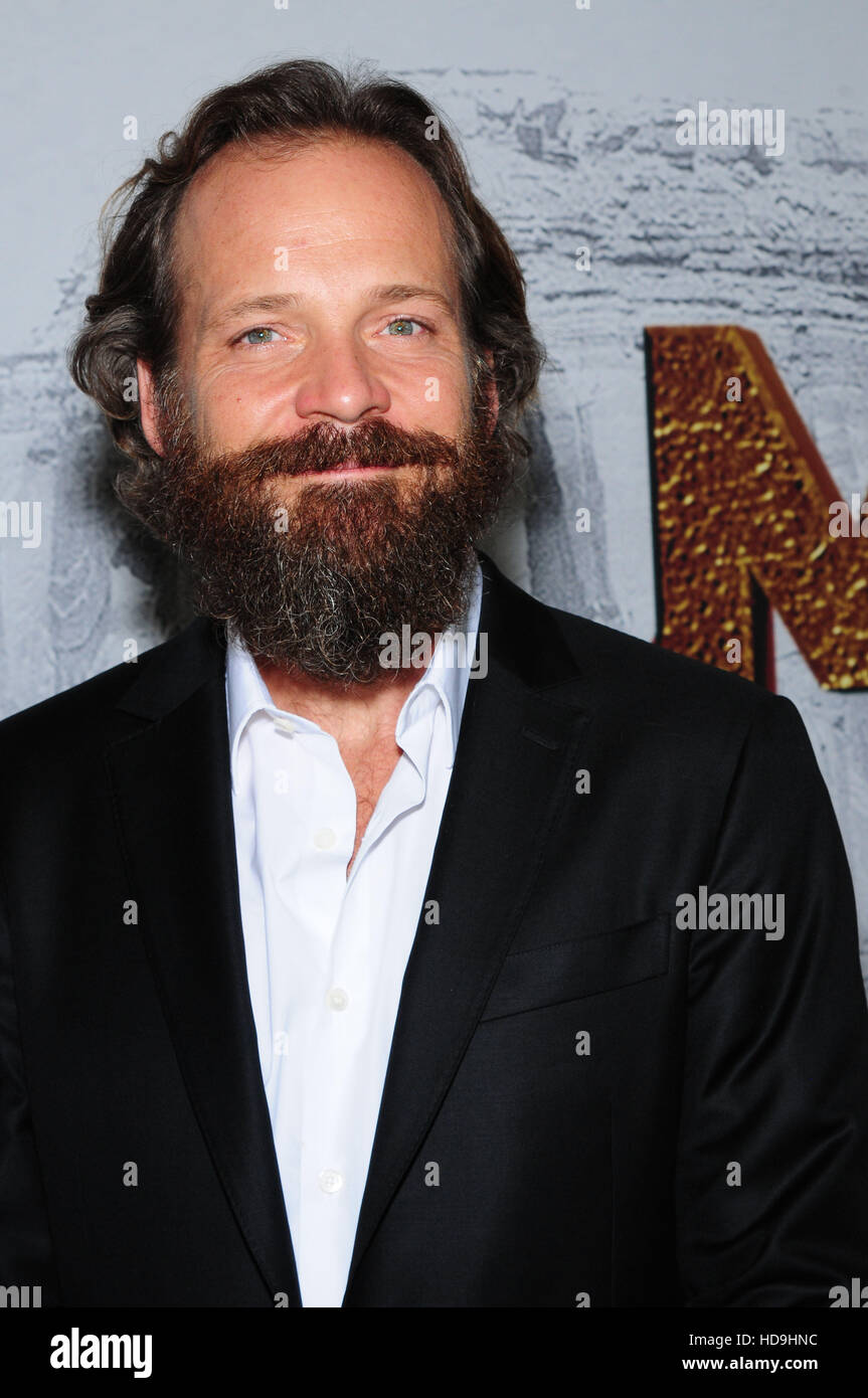 Peter Sarsgaard attending the New York premiere of 'The Magnificent ...