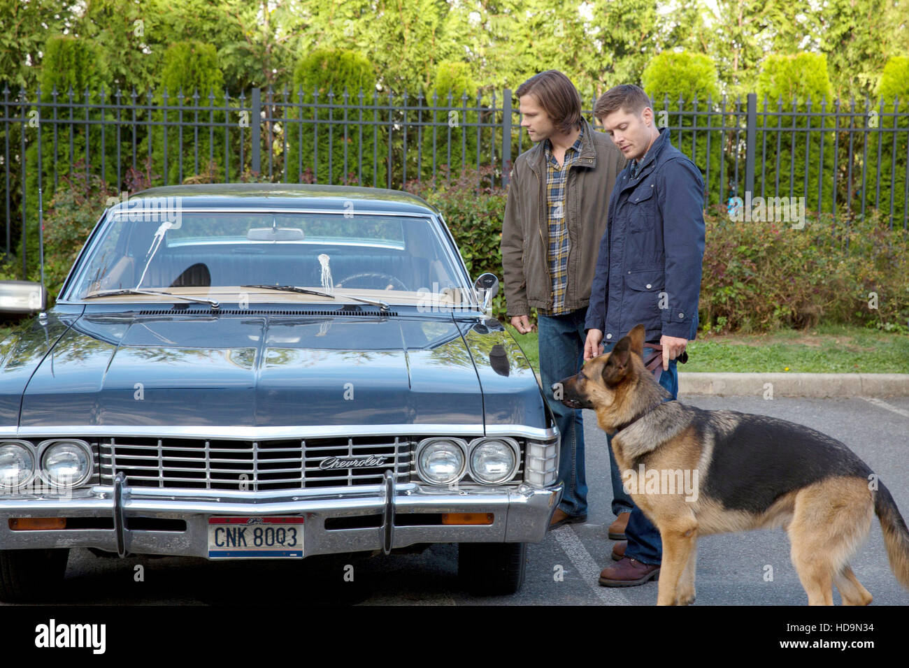SUPERNATURAL, (from left): Jared Padalecki, Jensen Ackles, 'Dog Day ...