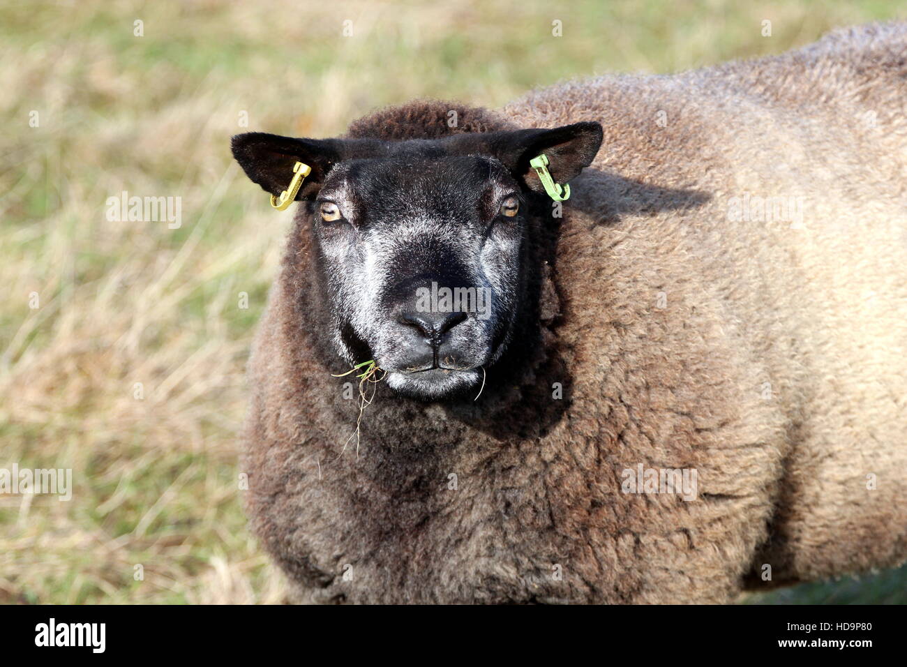Time nurturing hi-res stock photography and images - Alamy