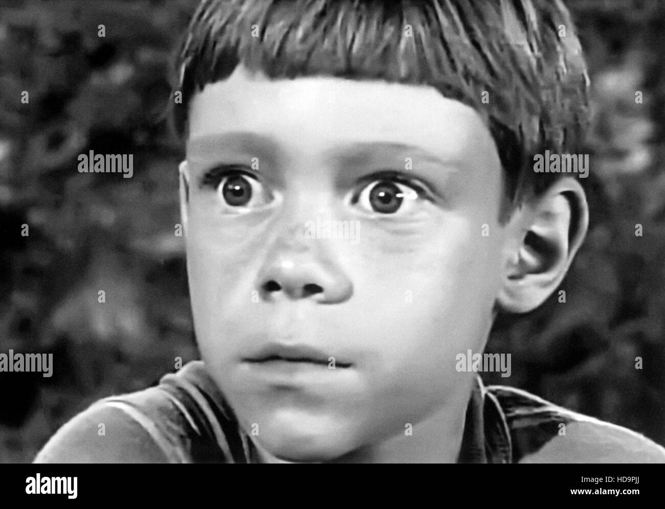 TWILIGHT ZONE, Billy Mumy, 'It's a Good Life' (Season 3, aired November ...