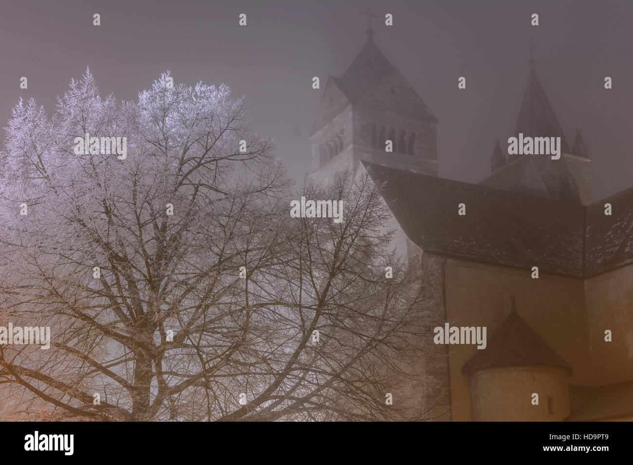 Breisach am Rhein: Münster (church, cathedral), Schwarzwald, Black ...