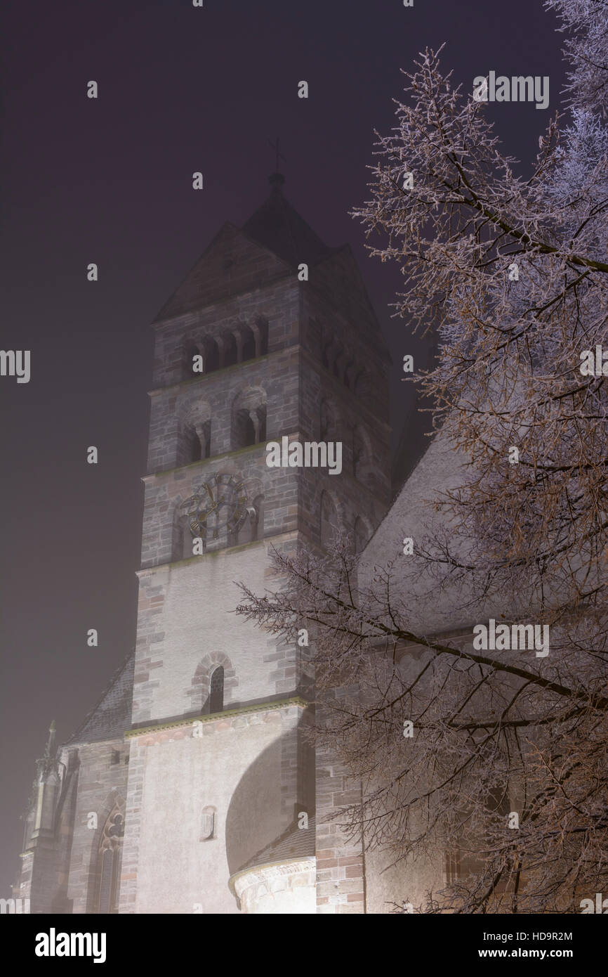 Breisach am Rhein: Münster (church, cathedral), Schwarzwald, Black ...