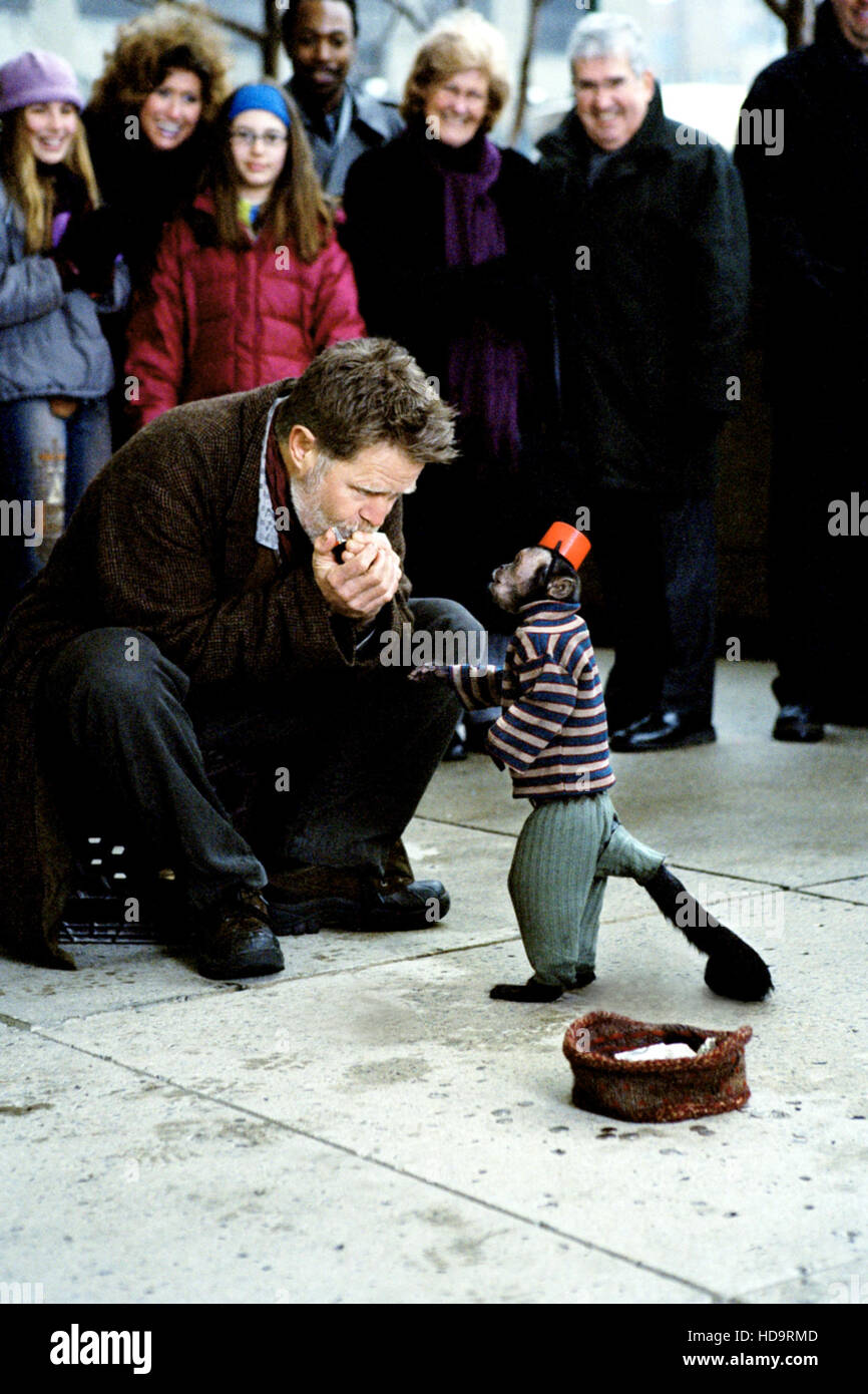 THE WOOL CAP, William H. Macy, 2004, © TNT / Courtesy: Everett ...