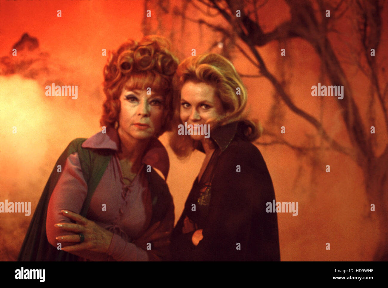 BEWITCHED, Agnes Moorehead, Elizabeth Montgomery, 1964-1972 Stock Photo ...