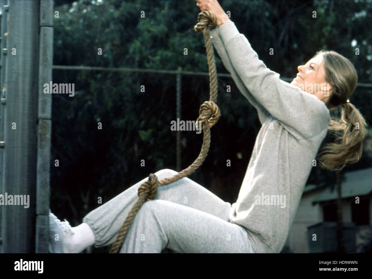 The bionic woman tv lindsay wagner hi-res stock photography and images ...