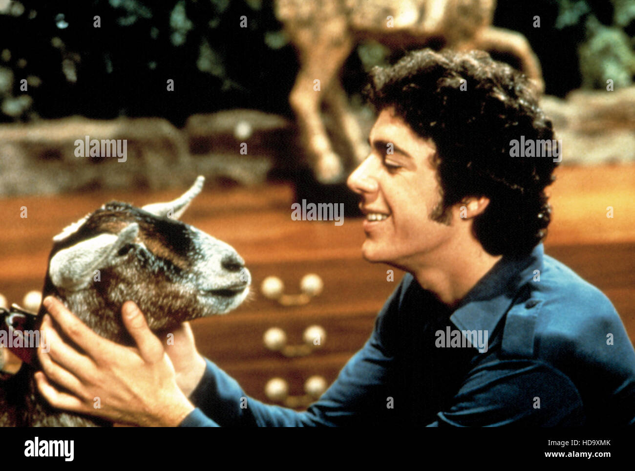THE BRADY BUNCH, Barry Williams, with Raquel the goat, 'Getting Greg's ...