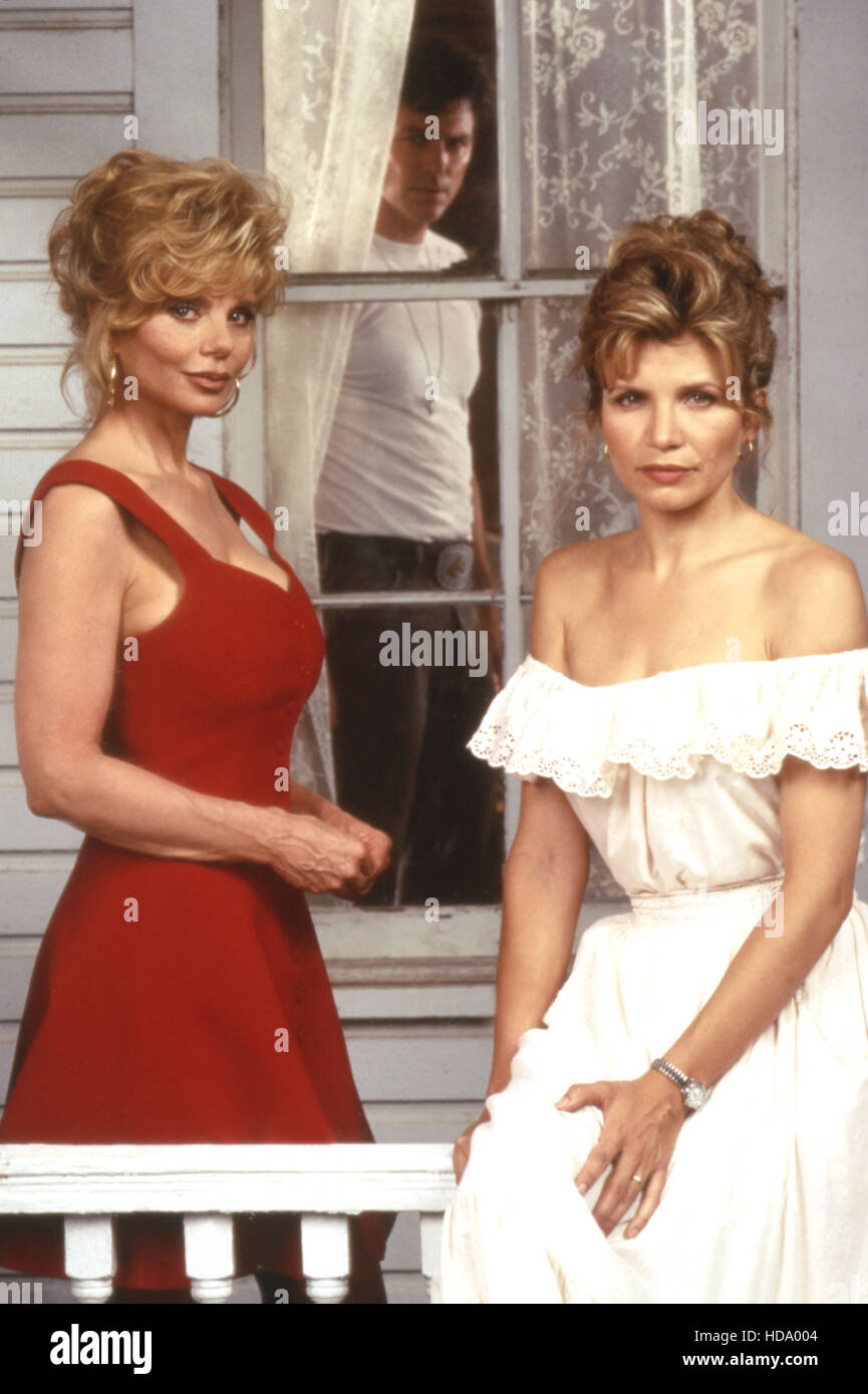 DEADLY FAMILY SECRETS, Loni Anderson, Greg Evigan, Gigi Rice, 1995 ...