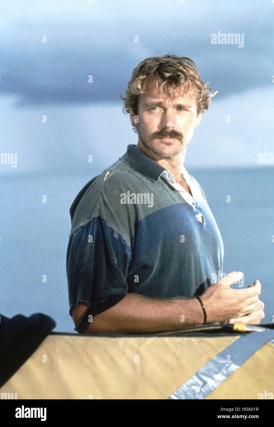 DESPERATE JOURNEY: THE ALLISON WILCOX STORY, John Schneider, 1993 ...