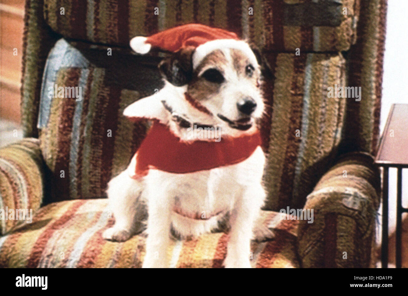 FRASIER, Eddie the dog, 1993-2004. © NBC / Courtesy: Everett Collection ...