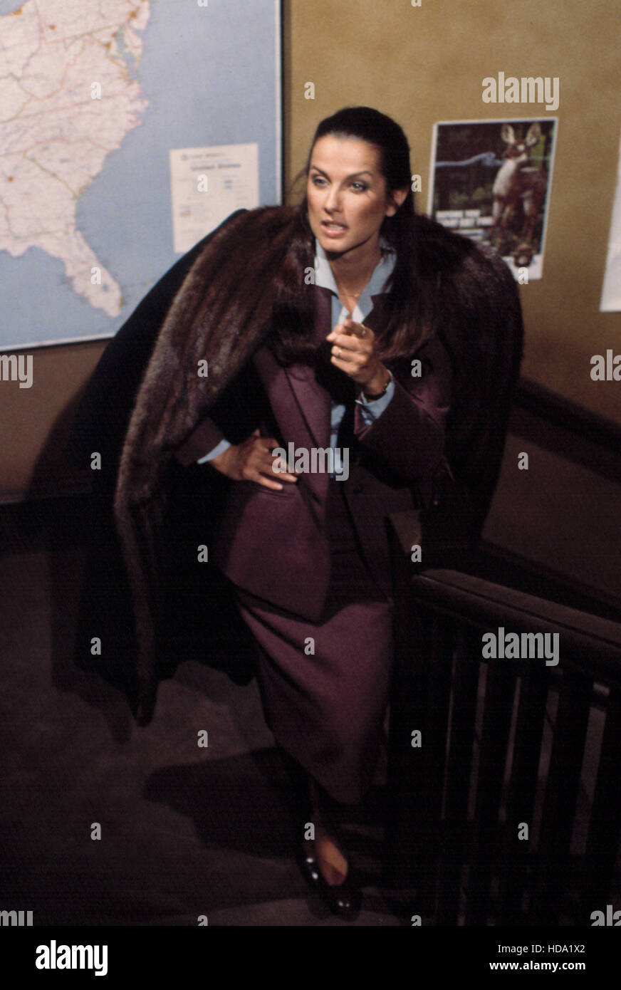 HILL STREET BLUES, Veronica Hamel, 1981-87. © NBC / Courtesy: Everett ...